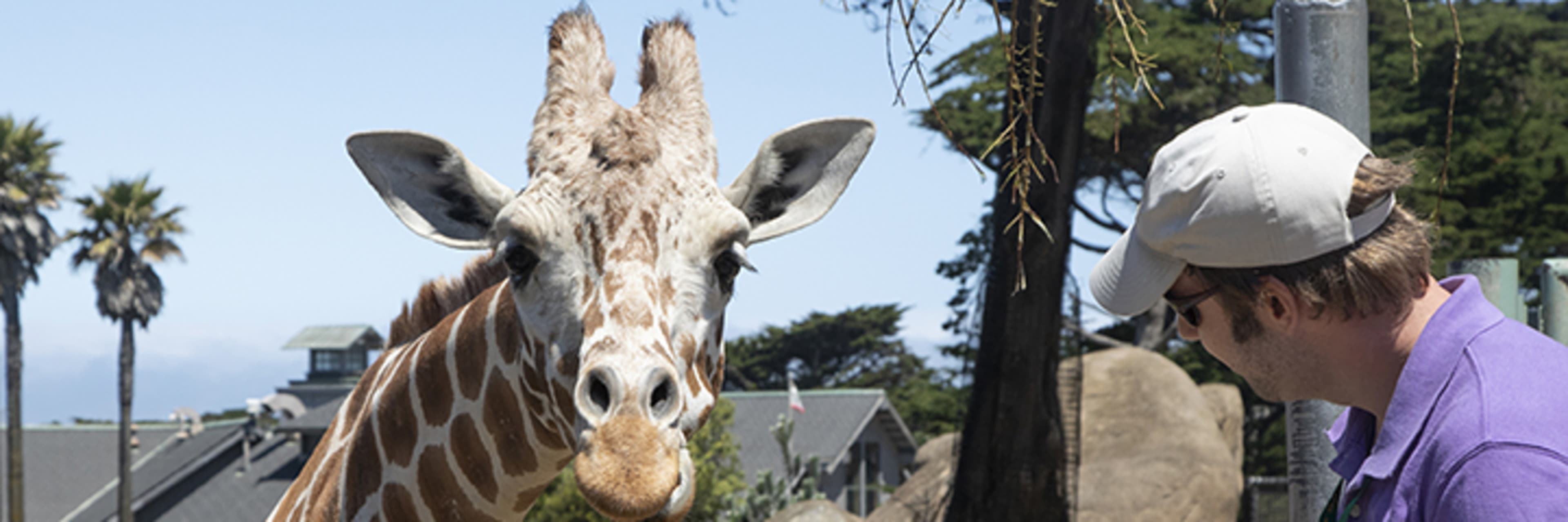San Francisco Zoo & Gardens | Go City® San Francisco Zoo & Gardens | Go City®